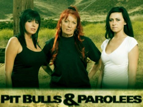 Everything about Tia Torres from Pit Bulls and Parolees - TVShowcast
